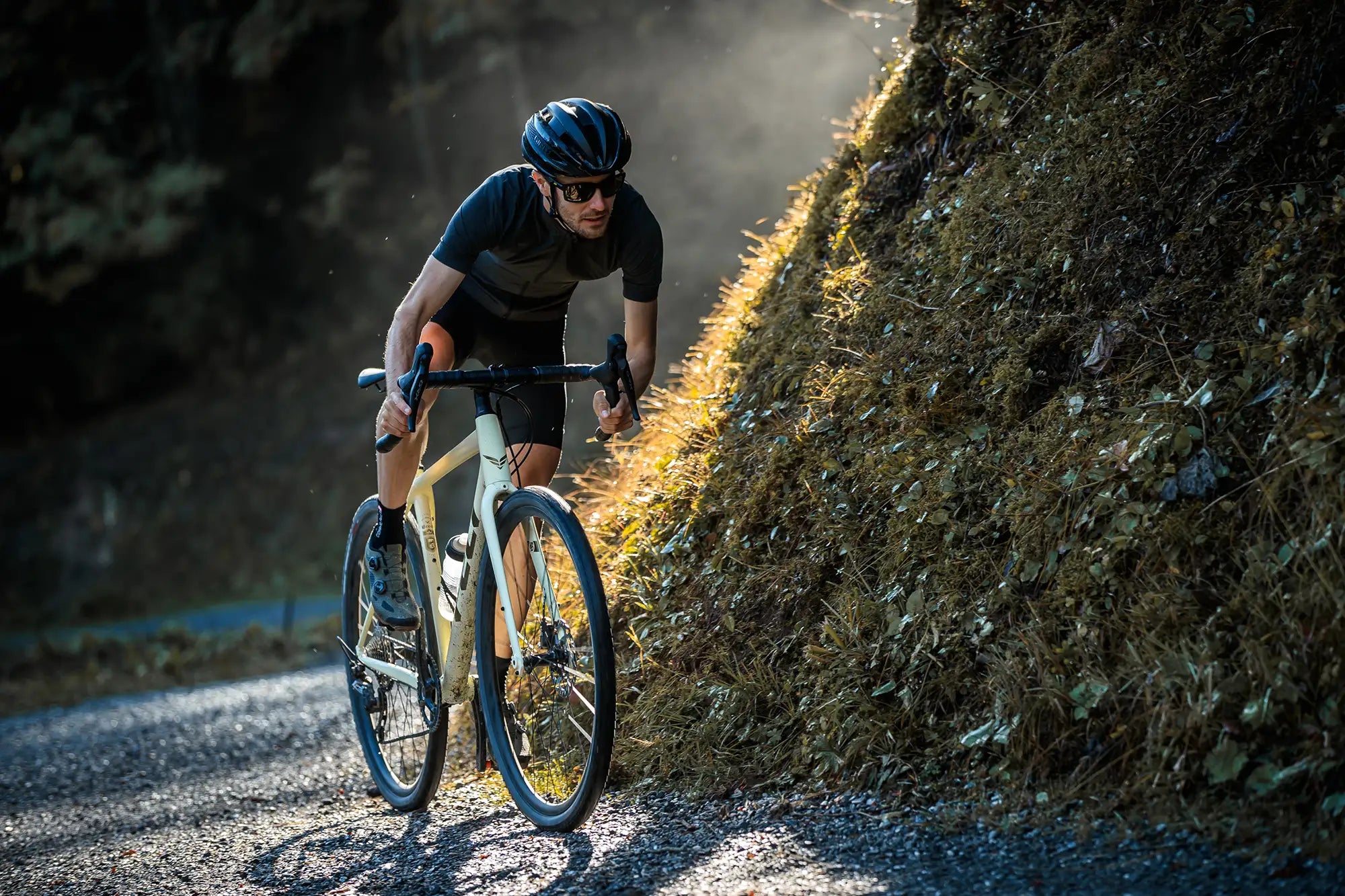 Breed Alloy – Felt Bikes Australia